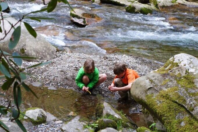 Top 10 Tips for Hiking With Kids and our Big Creek Backpacking Trip ...