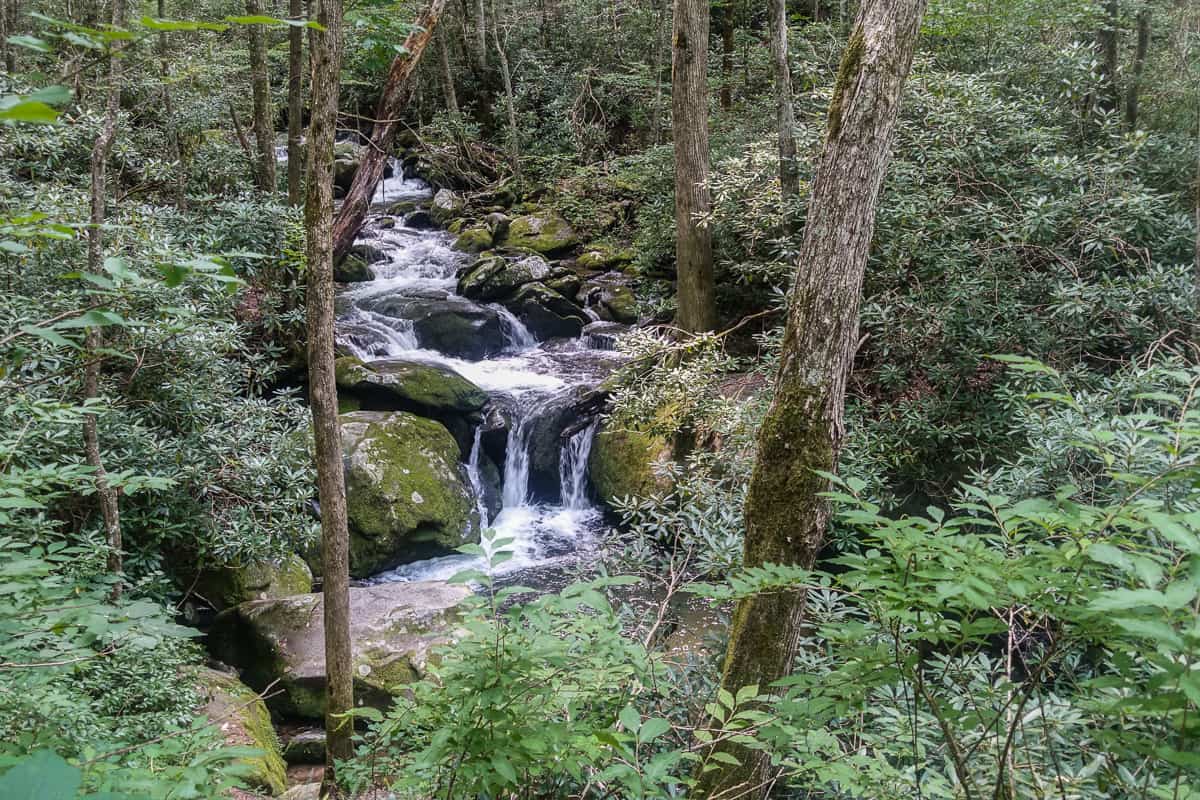 Jake's Creek - Panther Creek - Lynn Camp Prong - Miry Ridge Trails ...