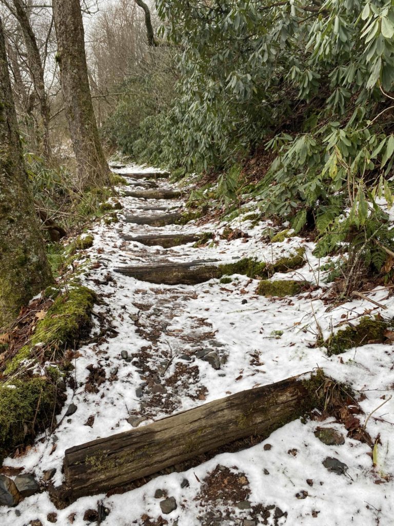 Appalachian Trail - Lower Mt. Cammerer - Low Gap Loop Hike - Nancy East