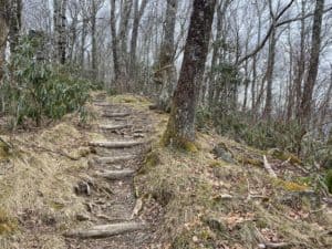 Appalachian Trail - Lower Mt. Cammerer - Low Gap Loop Hike - Nancy East