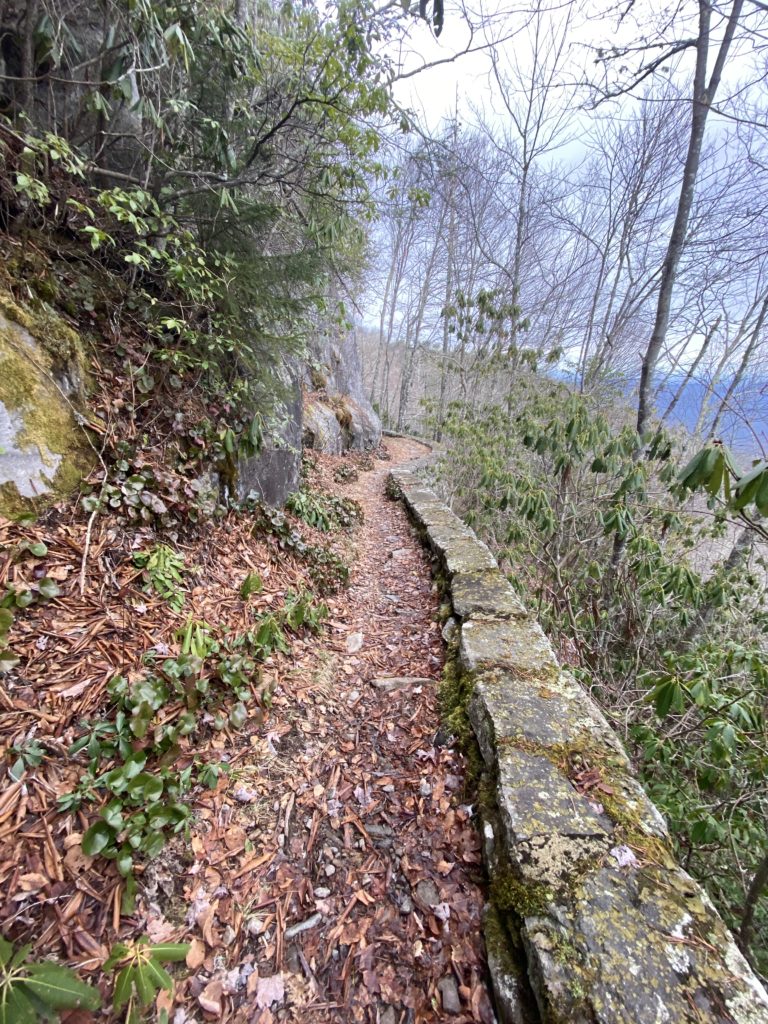 Appalachian Trail - Lower Mt. Cammerer - Low Gap Loop Hike - Nancy East