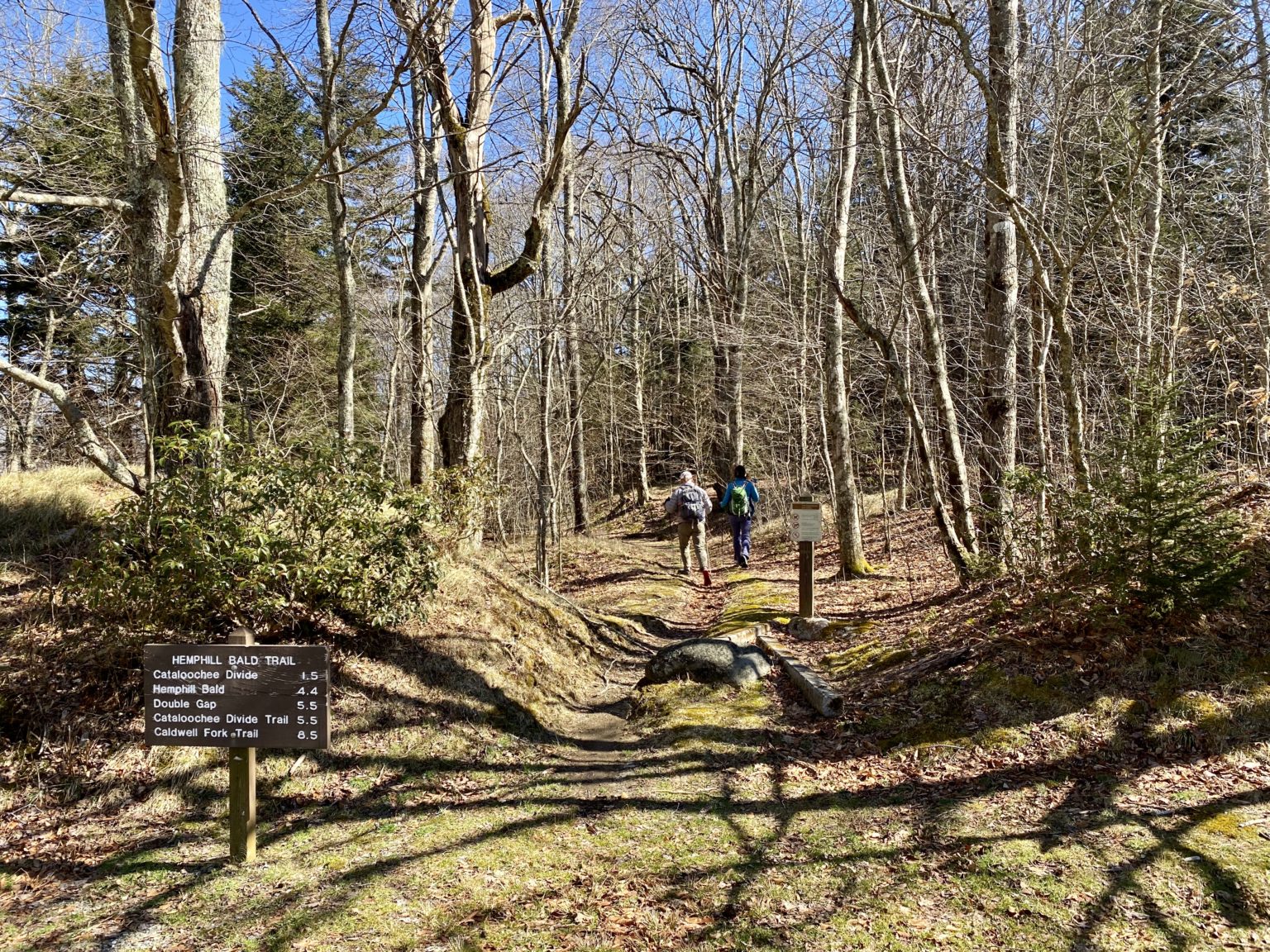 Hemphill Bald Loop Hike - Nancy East
