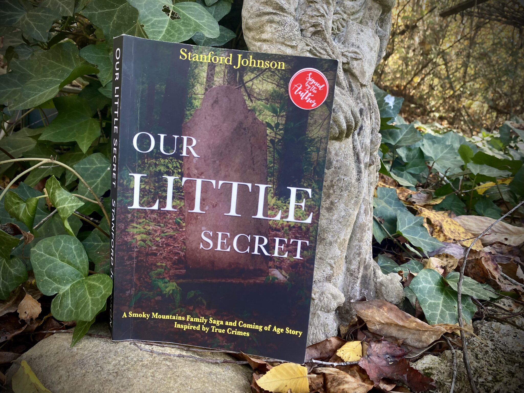 Our Little Secret: Book Review - Nancy East