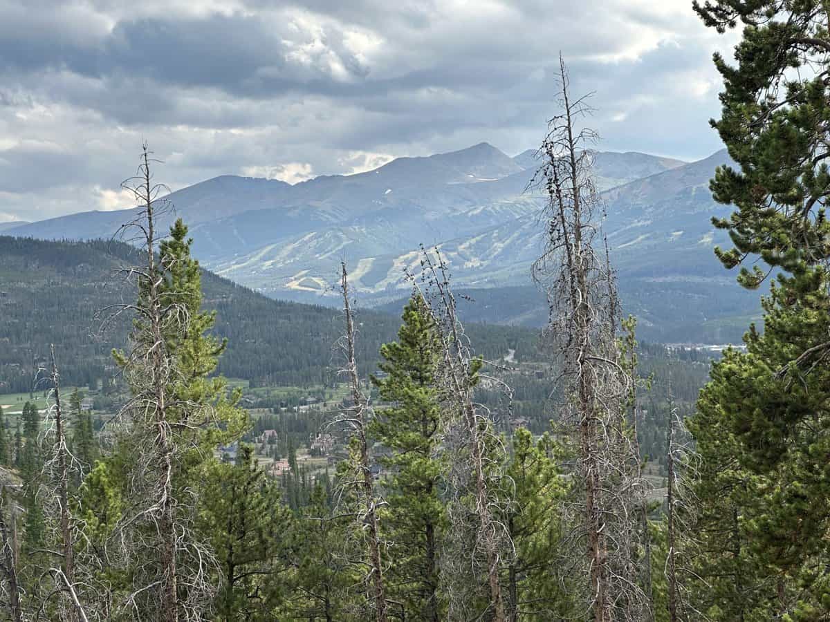 Colorado Trail: Day 5 - Nancy East